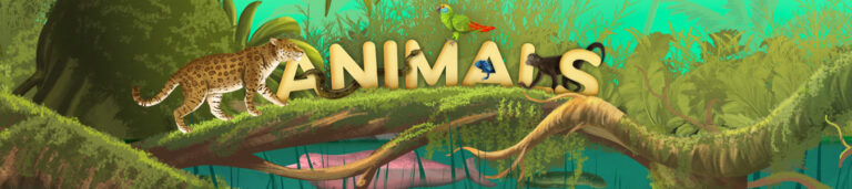 Learny Land – Where curiosity grows